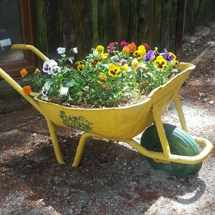 Kültür ve eğlence parkları Güvendik Park, Urla, foto