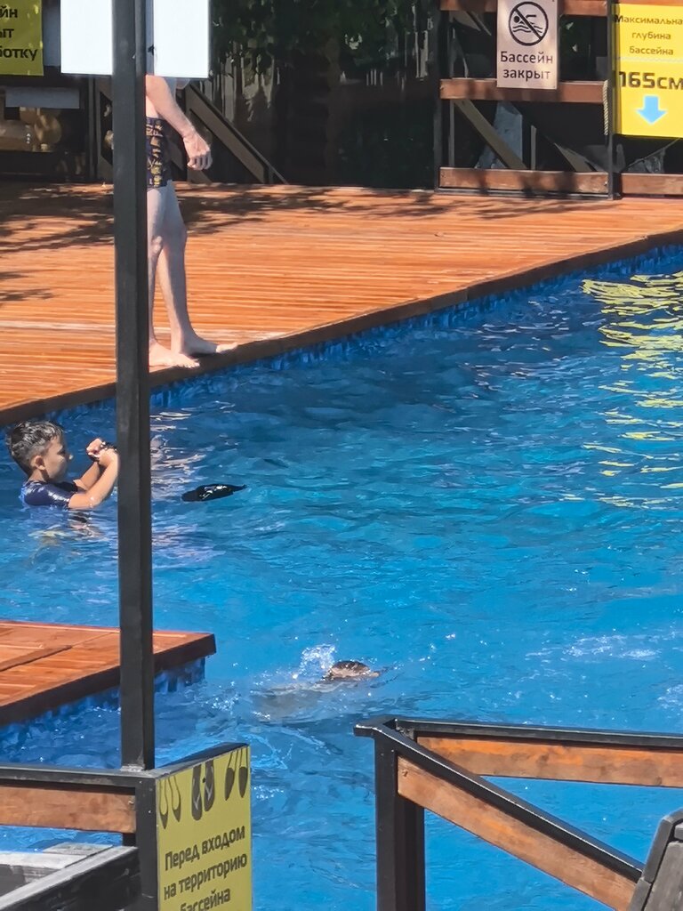 Yüzme havuzları Бассейн, Primoriye, foto