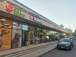 Dinamit (Chisinau, strada V. Varzaru), havai fişek firmaları  Kişinev'den