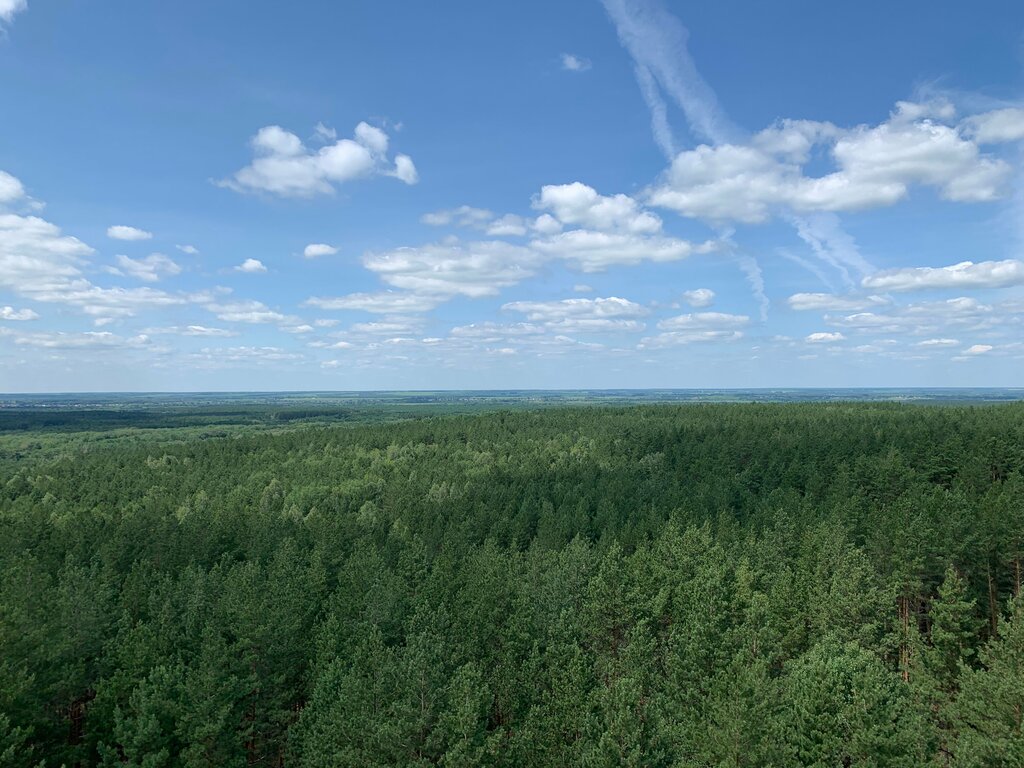 Seyir terası Смотровая площадка, Tambovskaya oblastı, foto