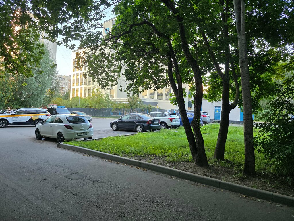Çöp alanları Trash and garbage disposal area, Moskova, foto
