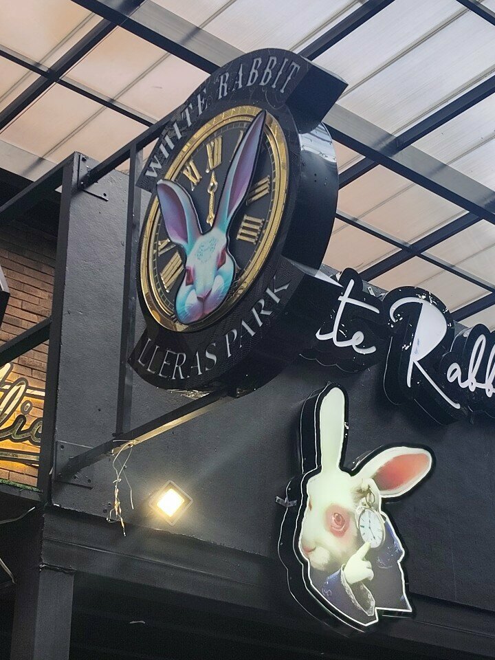 Bar White Rabbit Discoteca Cocteles Drink Party El Poblado, Medellin, foto