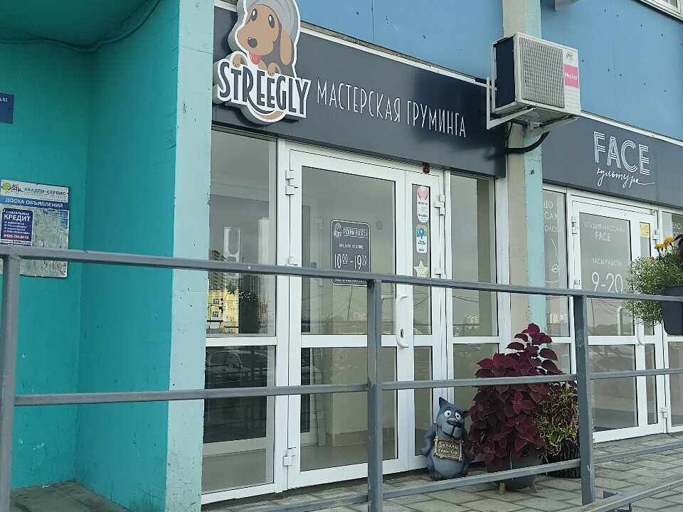 Petshop Streegly, Çeliabinsk, foto