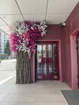 Ninele (Kuratova Street No:50), güzellik salonu  Syktivkar'dan