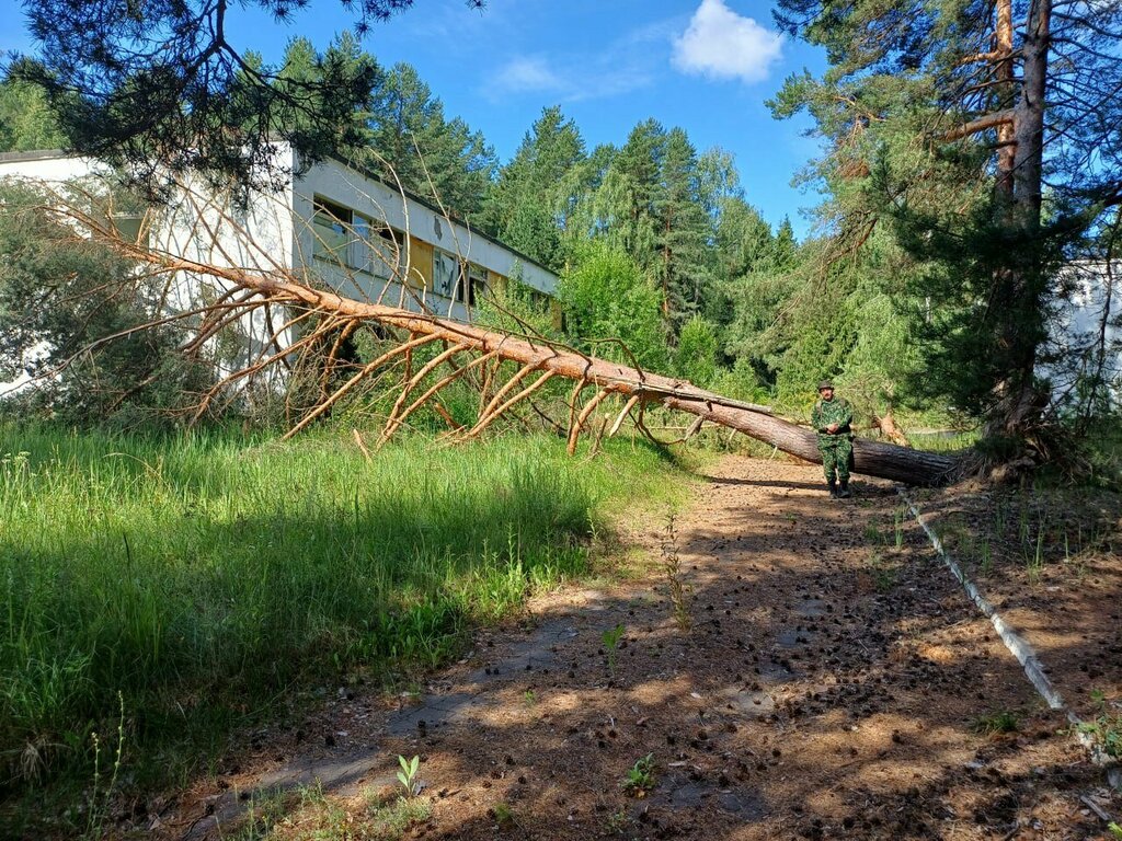 Turistik yerler Лагерь Живописный, Kalujskaya oblastı, foto