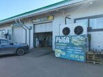 Рыба (Yastynskaya ulitsa No:47Б/10), balık ve deniz ürünleri  Krasnoyarsk'tan