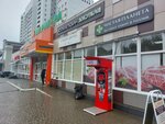 Игровой автомат (Pavlovsky Highway No:289), vendomat  Barnaul'dan