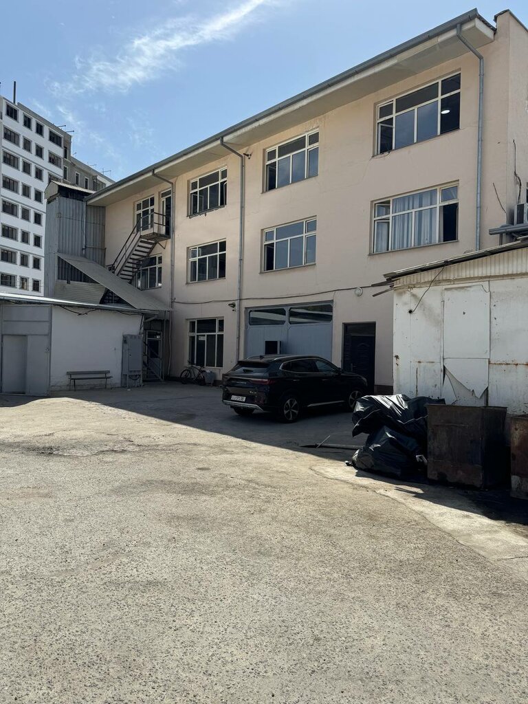 Deri hammadde Tabiiy Charm, Taşkent, foto