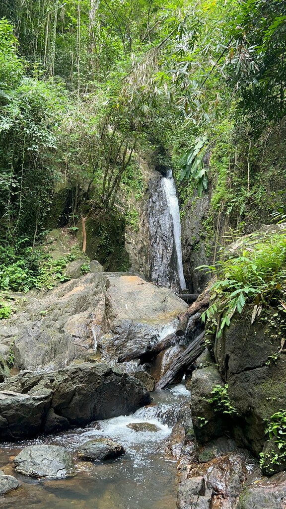 Doğa Bang Pae Waterfall, Phuket Eyaleti, foto