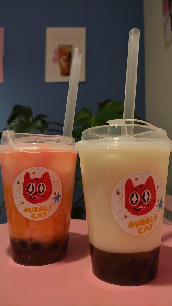 Kafe Bubble Cat, Penza, foto