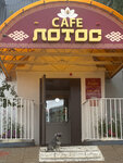Lotos (Shosseynaya ulitsa No:7), kafe  Gusinoozersk'ten