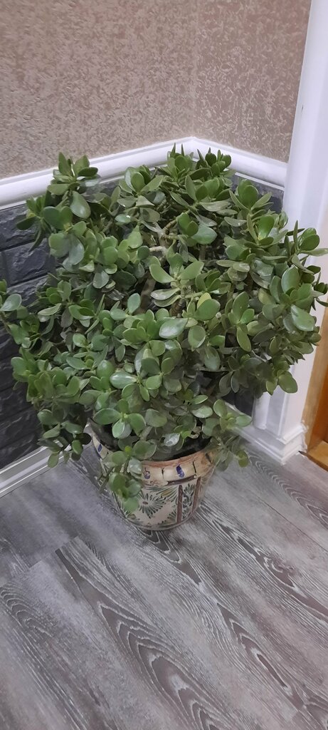 Halkla ilişkiler firmaları My Home, Andican, foto