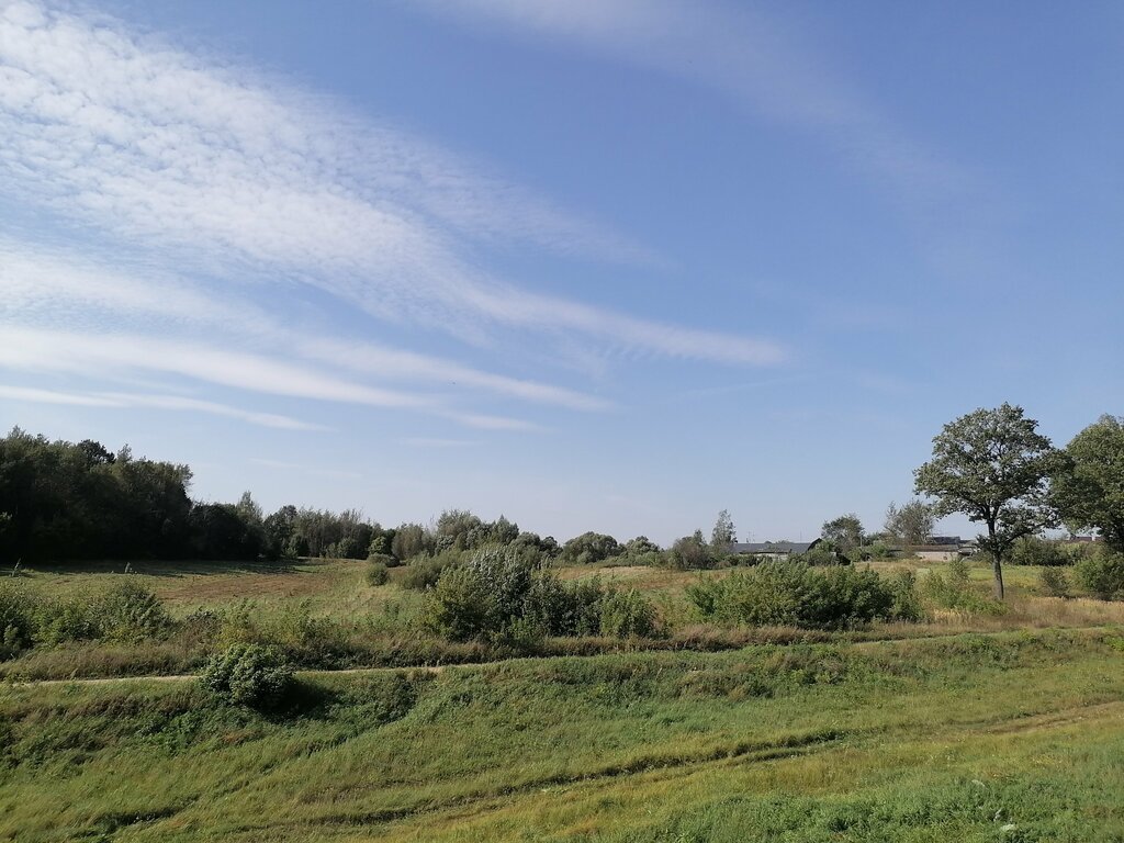 Hayvancılık Слабодка Александрийское, Mogiliovskaya oblastı, foto