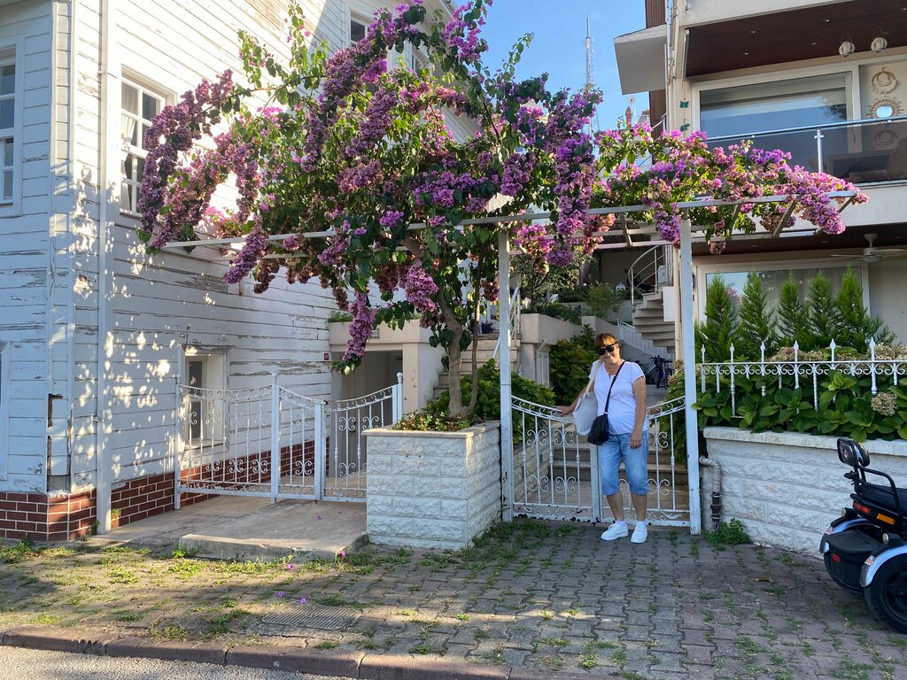 Sağlık merkezleri Kınalıada maviyeşil beach, Adalar, foto