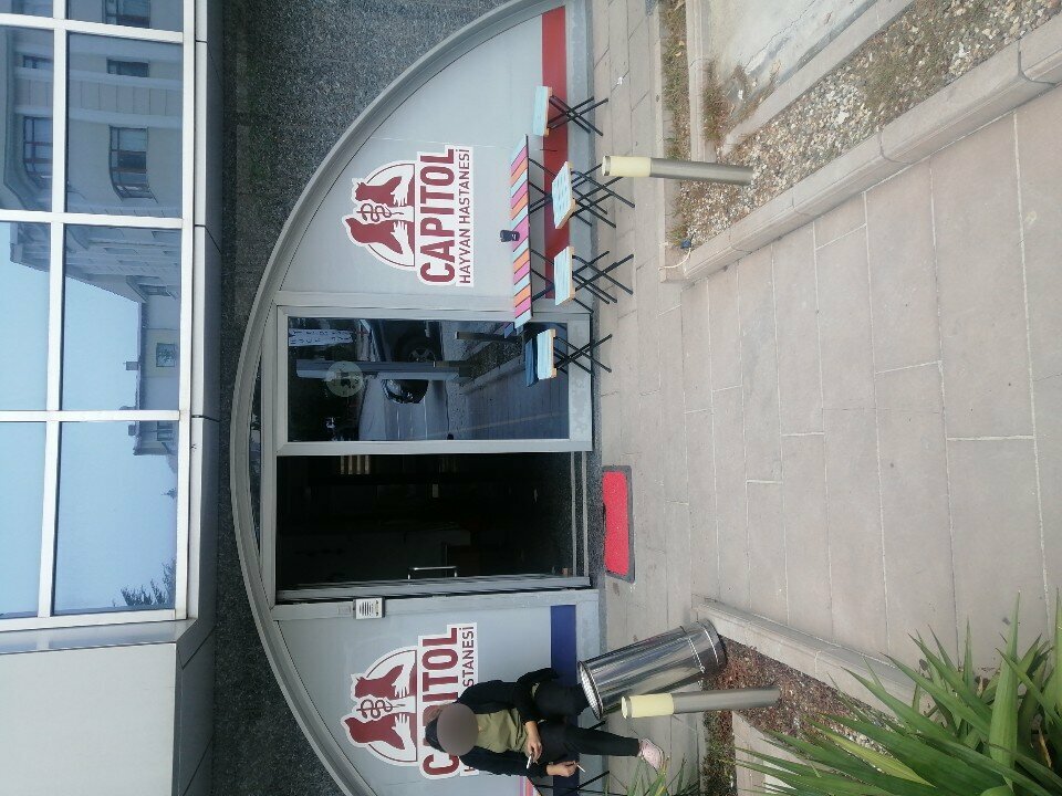 Veteriner klinikleri Capitol Hayvan Hastanesi, Ankara, foto