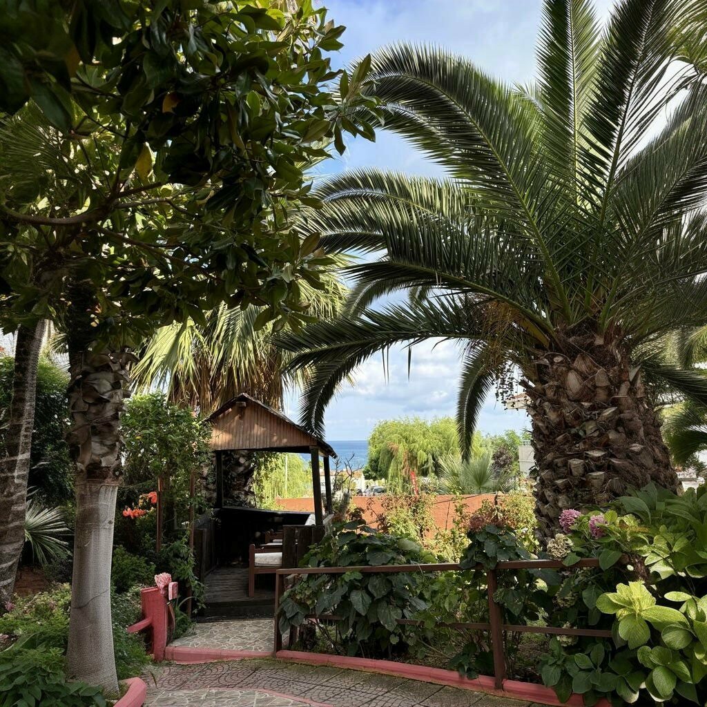 Pansiyonlar, hosteller Vatan Pansiyon, Sinop, foto