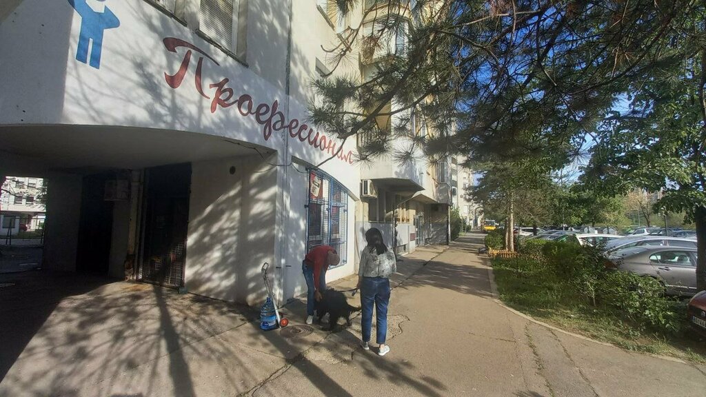 Bilgisayar teknik servisleri Profesional, Belgrad, foto