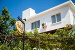 Sarı Apart (İskele Mah., Nuri Kolcu Sok. No:6, Datça, Muğla), otel  Datça'dan