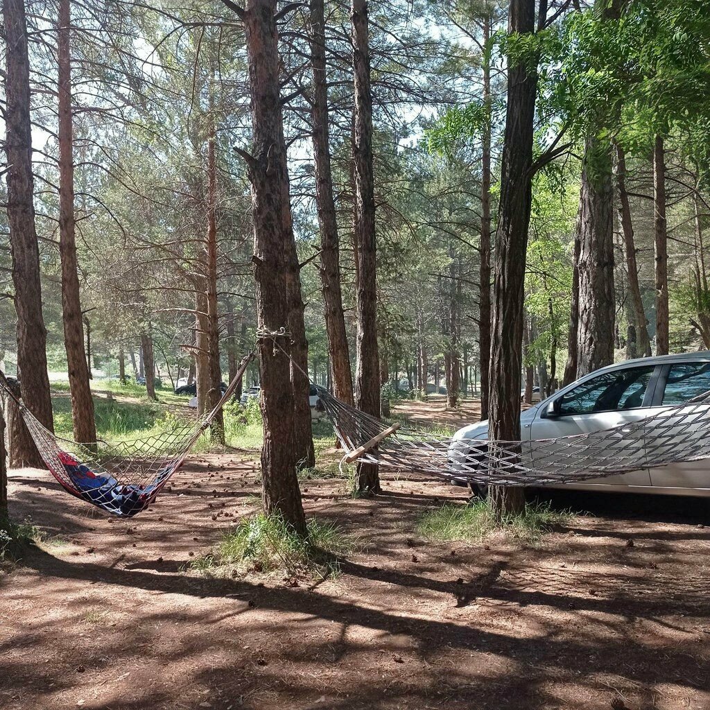 Piknik alanı Kızılkavraz Piknik Alanı, Sivas, foto