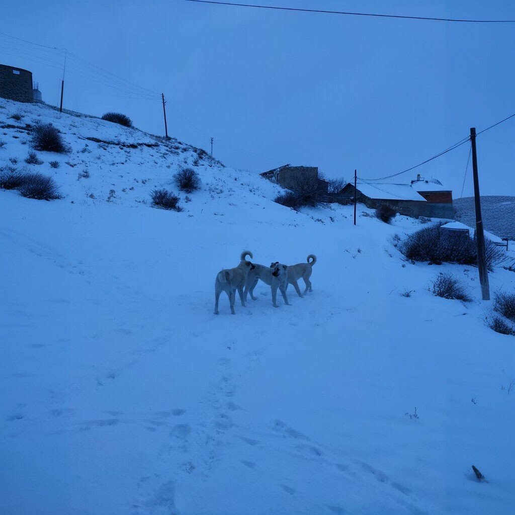 Cami Karadivan Köyü Cami, Otlukbeli, foto