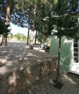 Hasan Baba Türbesi (Eskişehir, Beylikova, İmikler Mah.), turistik yerler  Beylikova'dan