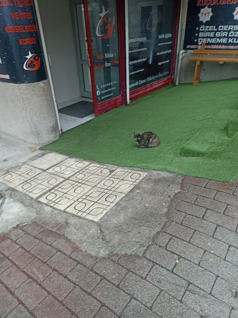 Kurs Yıldızlar ve Ötesi Eğitim Kurumları, Ankara, foto