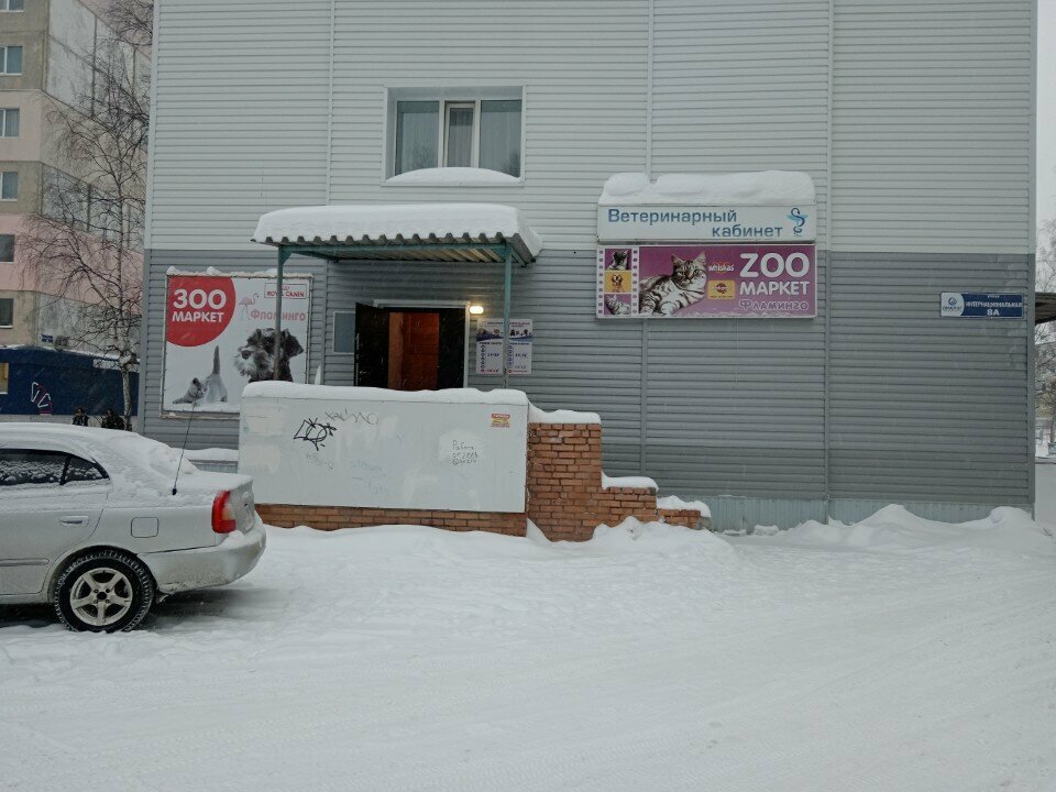 Petshop Зоомаркет, Nijnevartovsk, foto