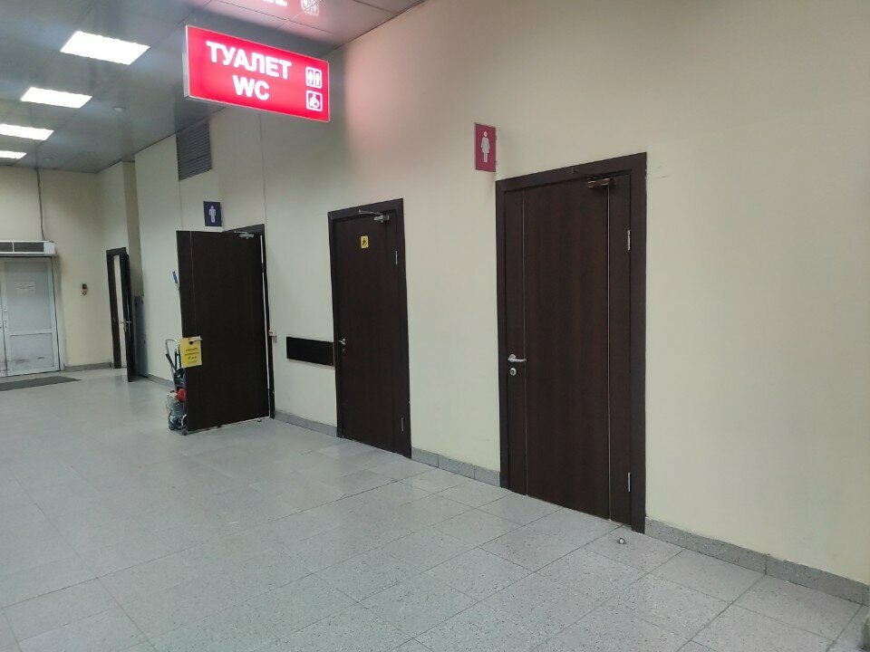 Engelliler için tuvalet Туалет для инвалидов, Moskova, foto