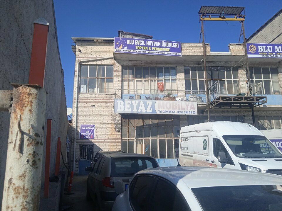 Yönetim ofisi Blu Evcil Hayvan Ürünleri Toptan ve Perakende, Ankara, foto