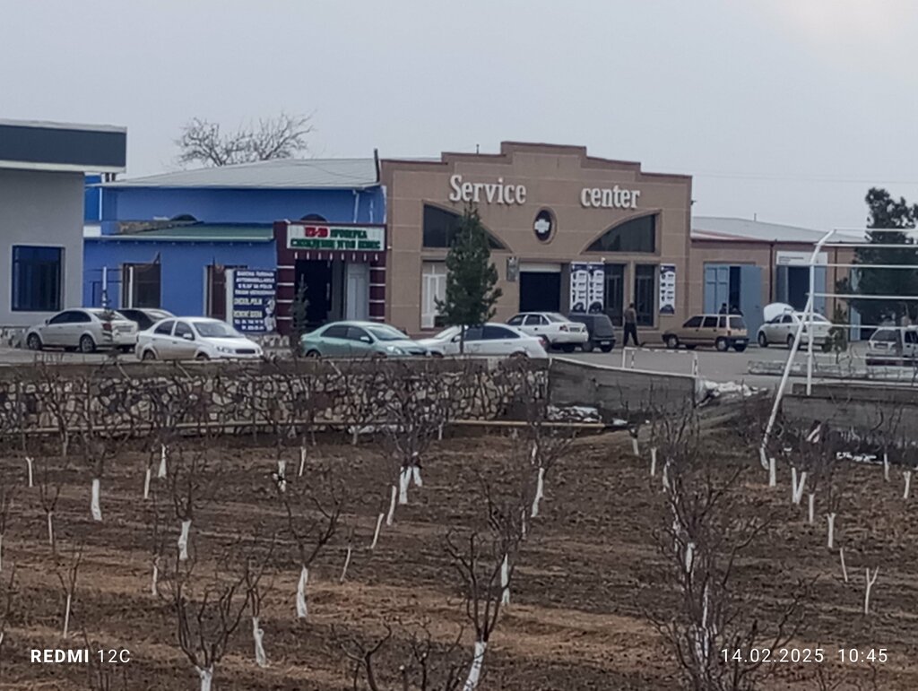 Otomobil satış galerileri Avtotexxizmat, Buhara eyaleti, foto