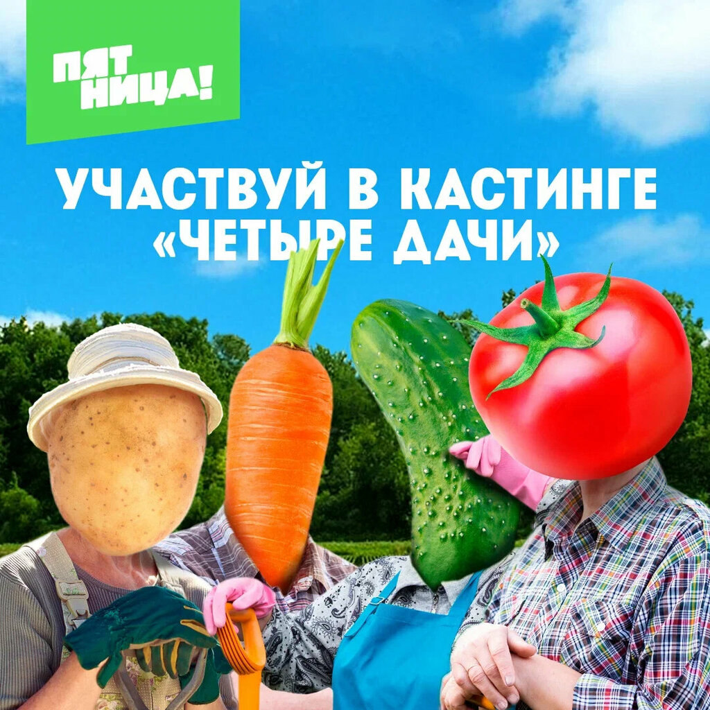 Bahçecilik dernekleri ve kuruluşları СНТ Зелёный огонёк, Krasnodarski krayı, foto