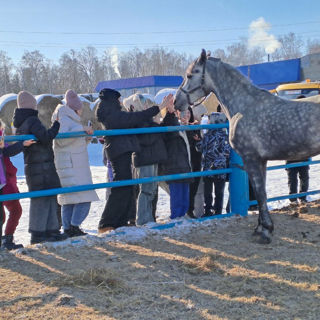 Hayvancılık Племенной конный завод Логиново, Kurganskaya oblastı, foto