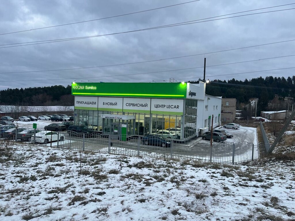 Otomobil servisi LECAR Service, Vyatskie Polyani, foto
