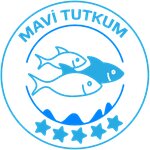 İstanbul Balık Avı Turu (İstanbul, Üsküdar, Harem Sahil Yolu Cad.), limanlar  İstanbul'dan