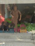 Amir Vegetable and Fruit Shop (No:482, Allama Iqbal Town, Hunza Block), manavlar  Lahor'dan
