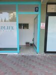Medlife Sağlık (Pınarbaşı Mah., Arıcı Sok., No:23, Keçiören, Ankara), sağlık ürünleri firmaları  Ankara'dan