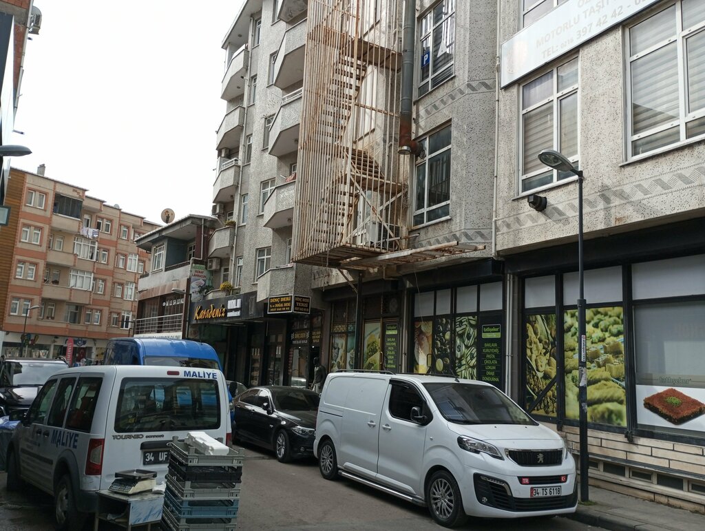 Kürk ve deri giyim mağazaları Dinç Deri Giyim, İstanbul, foto