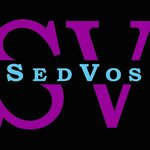 SedVos (Fabrichnaya ulitsa No:5), müzik okulları ve konservatuarlar  Şçolkovo'dan