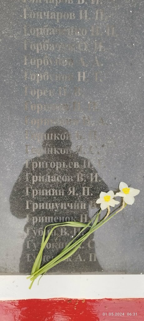 Anıt, heykel Воинское захоронение № 4444, Vitebskaya oblastı, foto