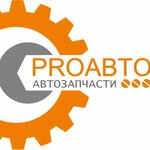 Автозапчасти Proавто (Arkhitektora Danini Street No:5), otomobil yedek parçaları  Puşkin'den