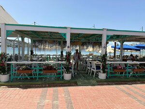Kıyı Beach Restaurant (Muğla, Bodrum, Bitez Mah., Çökertme Cad., 96), restoran  Bodrum'dan
