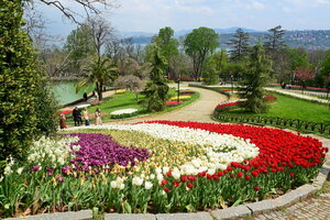 Emirgân Korusu (İstanbul, Sarıyer, Emirgan Mah., Emirgan Korusu), kültür ve eğlence parkları  İstanbul'dan