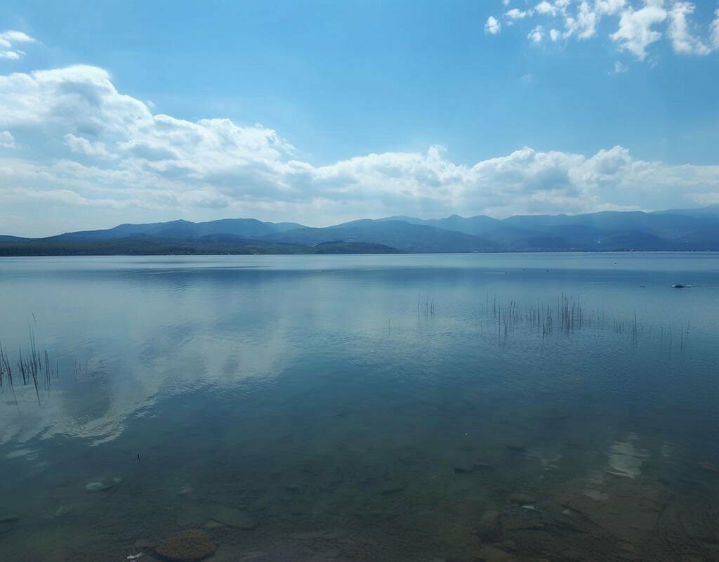 Otel Teiaş Misafir Evi, Adapazarı, foto