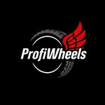 ProfiWheels (Bolshaya Krasnaya ulitsa No:2Д, selo Vysokaya Gora), oto lastik tamiri  Tataristan'dan