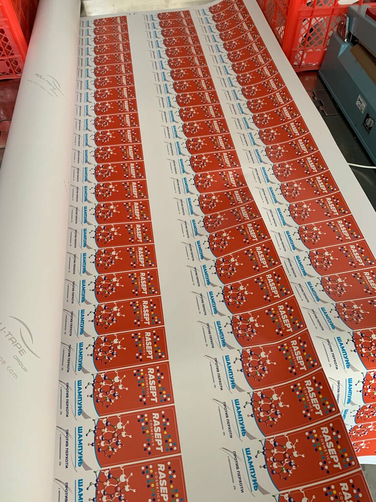 Baskı hizmetleri Agrafika, Samara, foto