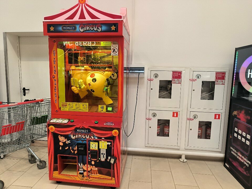 Oyun makinesi Monkey Circus, Samara, foto