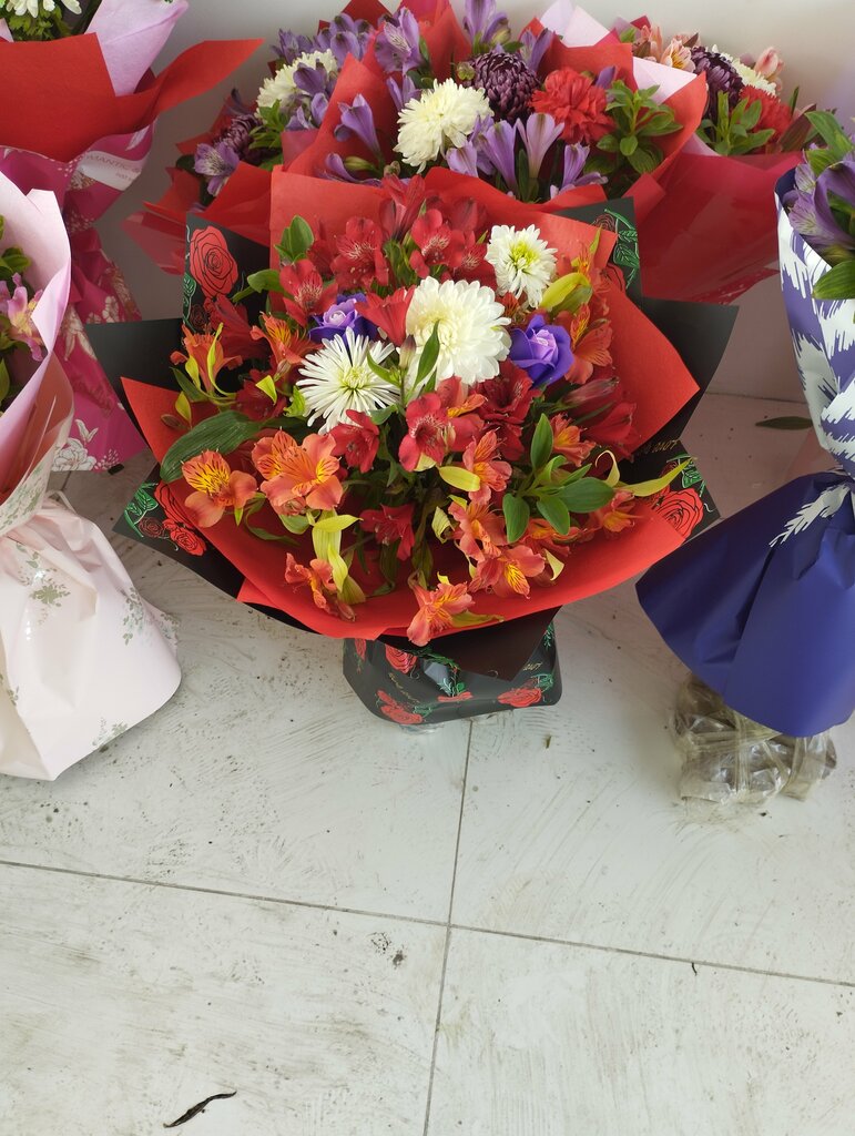 Ortaokul School No. 6, Andican eyaleti, foto