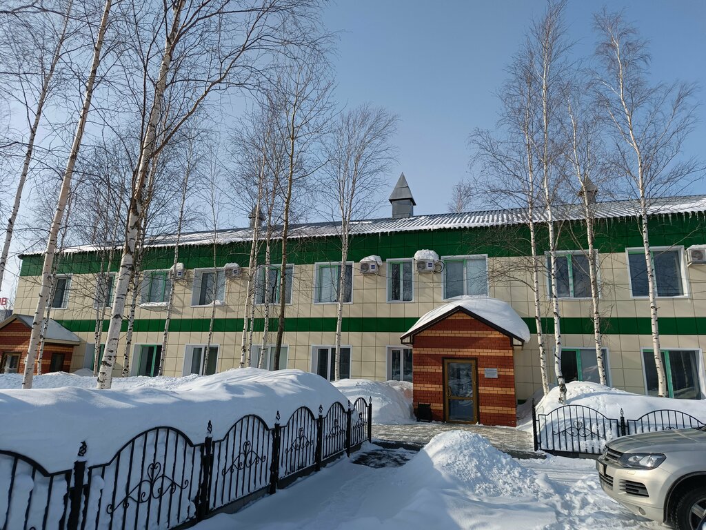 Özel üretim araç ve ekipmanları Сильные машины, Surgut, foto