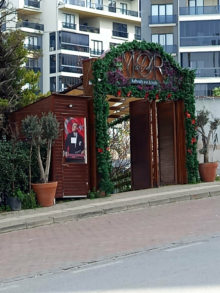 Restoran Mor Çilek Cafe, Bursa, foto