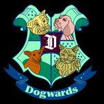 Dogwards (ulitsa Shamilya Usmanova No:13), evcil hayvan kuaförleri  Kazan'dan